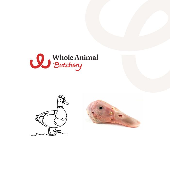 Duck Head