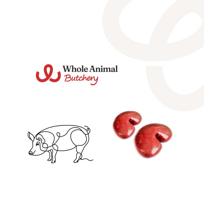 Pig Kidney